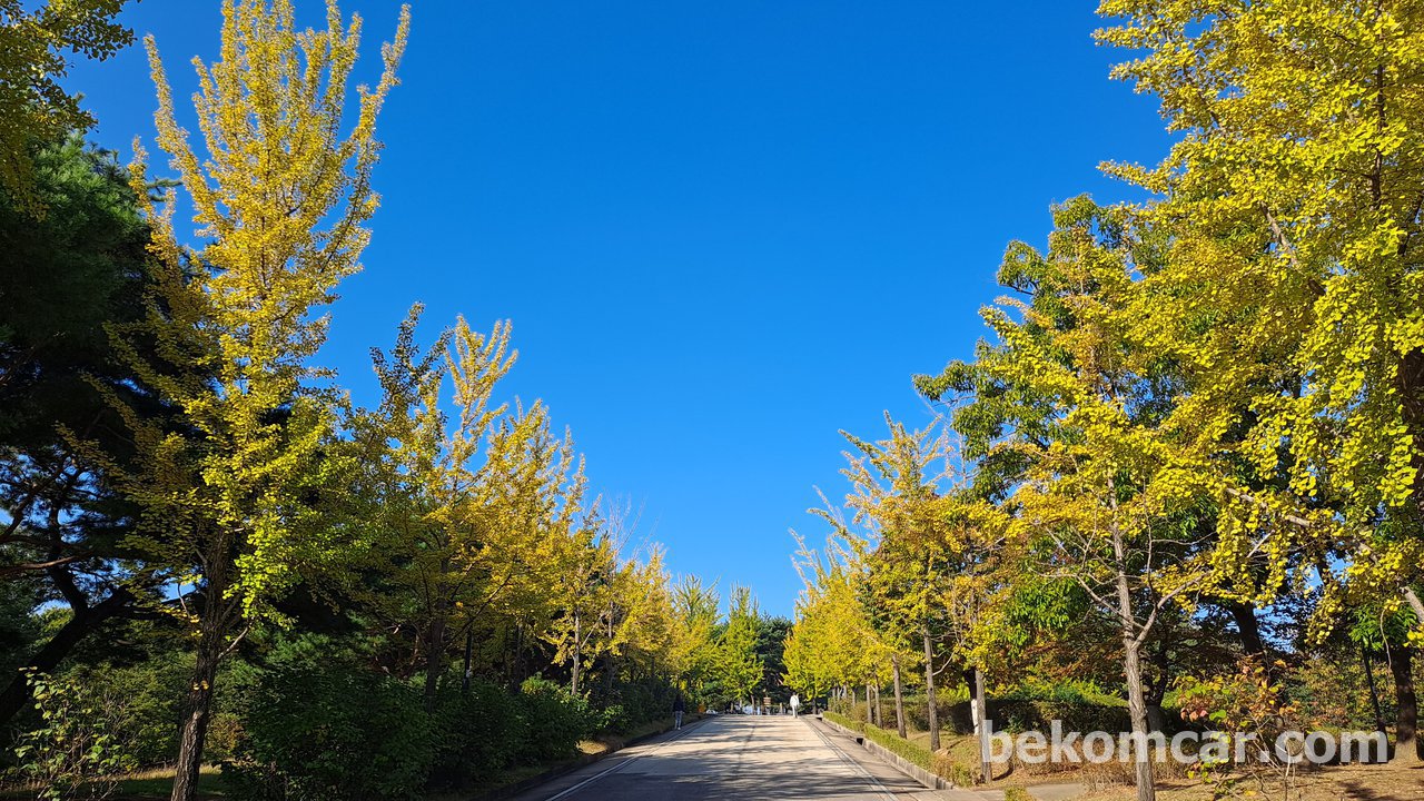 어느가을날의 하늘, 참 시원스럽다 | بيكومكار (bekomcar)