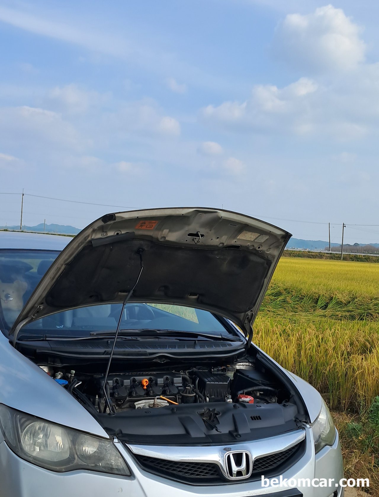 혼다 시빅, 라스의 어느가을날의 들판 나들이 | 贝科姆汽车 (bekomcar)